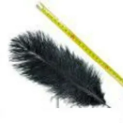 Bird and Feather Fabric for Dresses by the Yard - OneYard