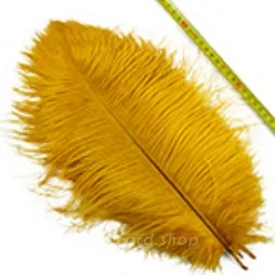 Bird and Feather Fabric for Dresses by the Yard - OneYard