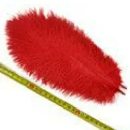 Multi-color Fluffy Turkey Feather Trim for Dress Train - OneYard